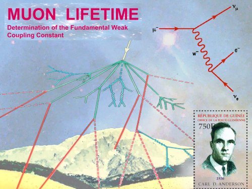Muon Lifetime Experiment