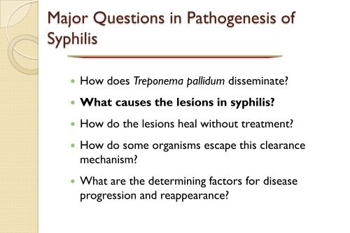 Early Steps in Infection
