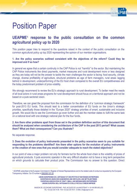 Position Paper - UEAPME