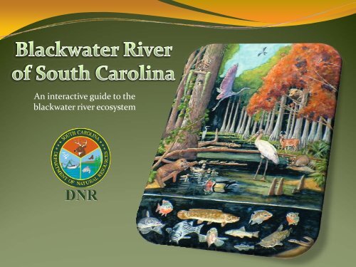 Blackwater River Interactive Poster - South Carolina Department of ...
