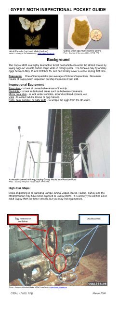 AGM Vessel Inspection Guide