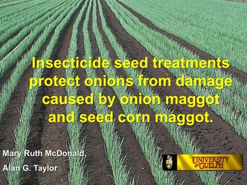 Insecticide seed treatments protect onions from damage caused by ...