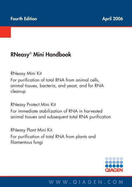 Qiagen Rneasy Mini Kit