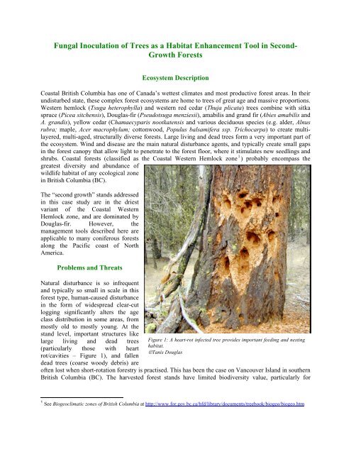 Fungal Inoculation of Trees as a Habitat Enhancement Tool in ...