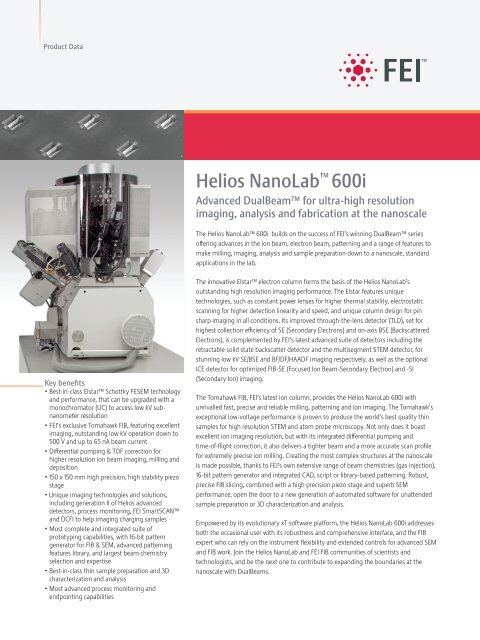 Fei Helios Nanolab 600i Dual Beam System - The Best Picture Of Beam