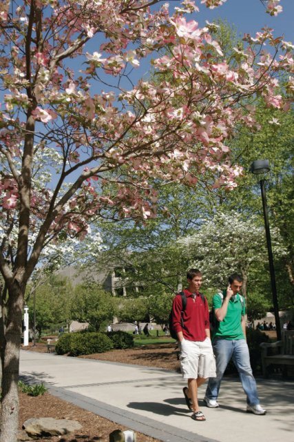 Admission Information and Requirements - Butler University