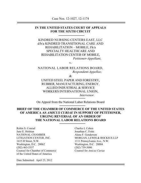 amicus brief - National Chamber Litigation Center