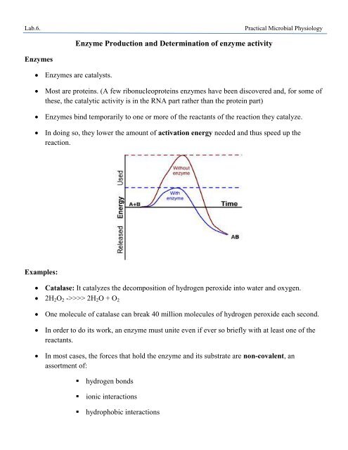 Enzyme Production and Determination of enzyme activity