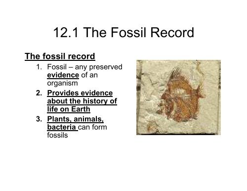 12.1 The Fossil Record