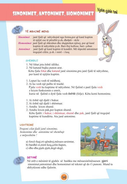 SINONIMET, ANTONIMET, HOM