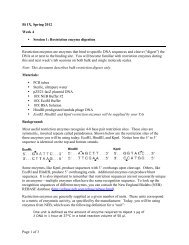 Restriction Enzyme Activity in Promega 10X Buffers