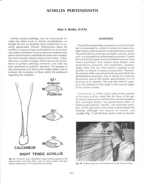 Achilles Peritendinitis - The Podiatry Institute