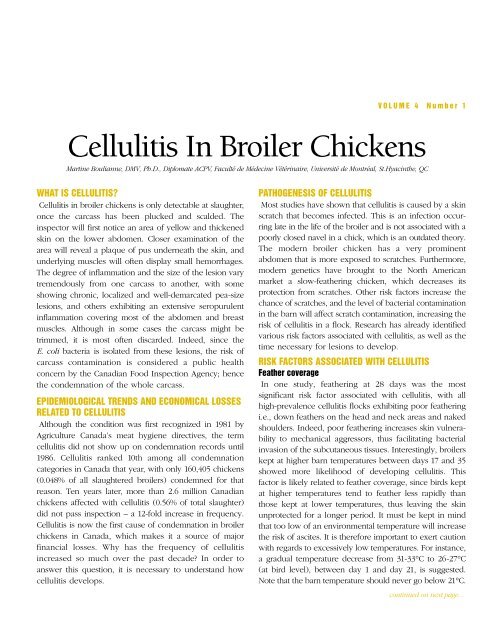 Cellulitis in Broiler Chickens - PDF - Canadian Poultry Consultants Ltd