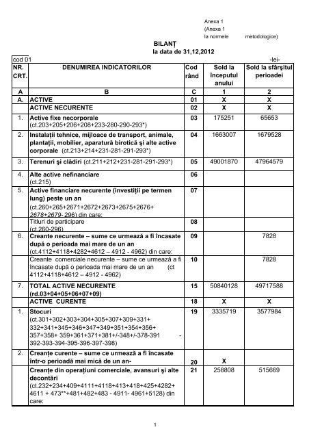 Bilant Contabil / 31.12.2012