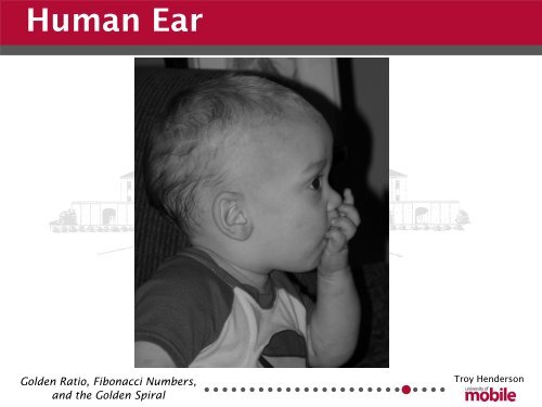 Human Ear Golden