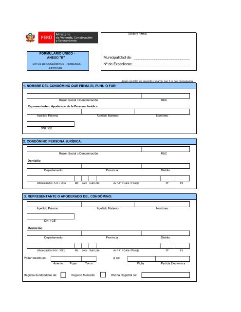 Formulario Unico - Anexo B