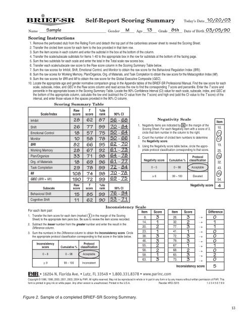 Brief Rating Scale Report