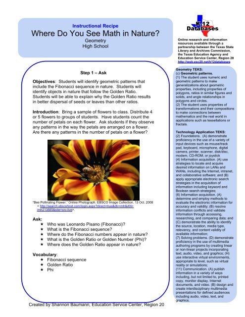 Polygons In Nature Examples