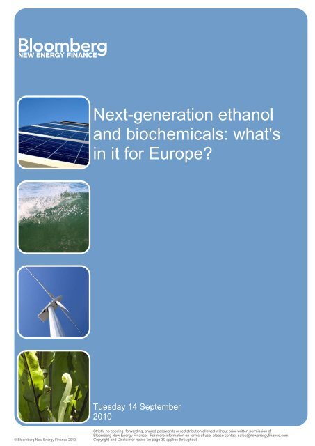 NEF Long Report Template - Novozymes