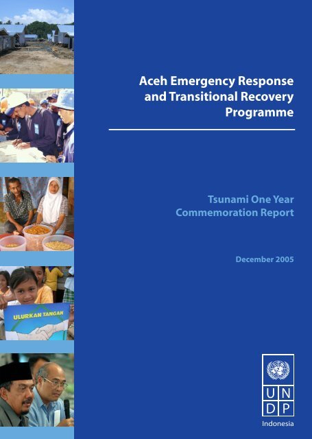 Aceh Emergency Response and Transitional Recovery ... - UNDP