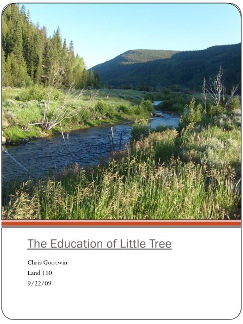 The Education of Little Tree