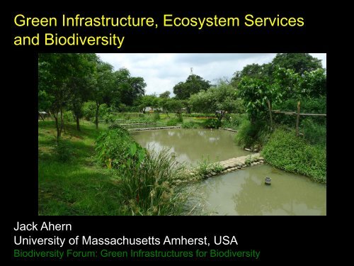 Green Infrastructure, Ecosystem Services and Biodiversity