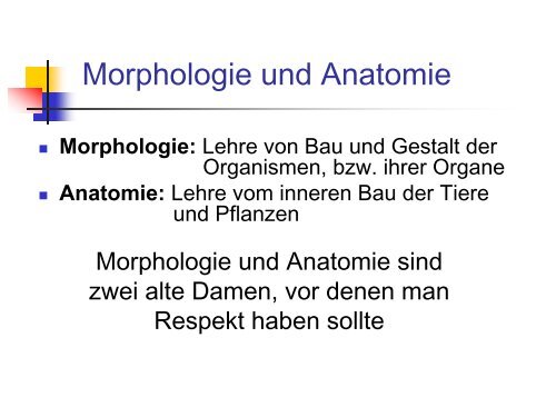 Morphologie