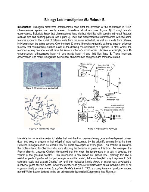 Karyotypes - An Argument-Driven Inquiry Lab Activity.pdf