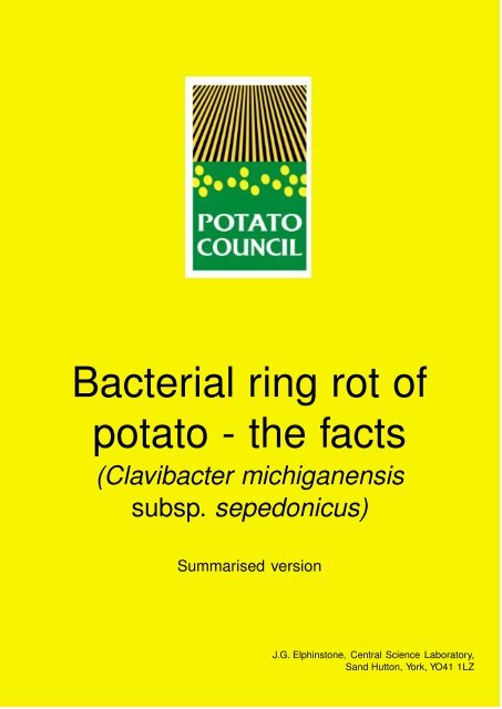 Bacterial ring rot of potato - the facts - Potato Council