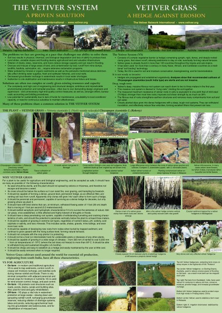small file for screen - The Vetiver Network International