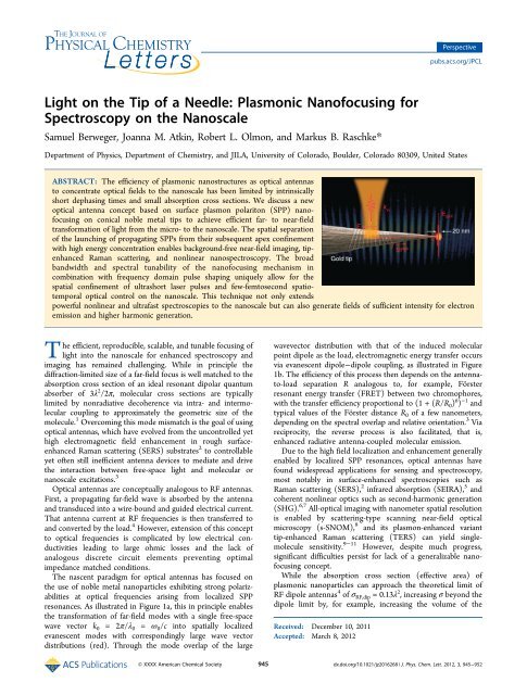 Light on the Tip of a Needle: Plasmonic Nanofocusing for ...