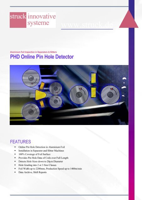 Pinhole Detection - Struck Innovative Systeme