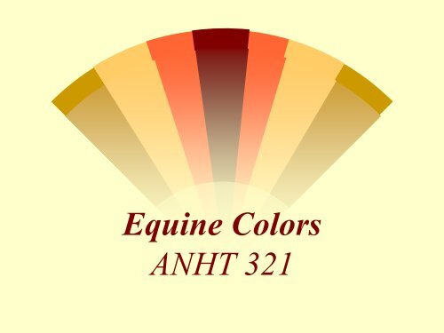 Equine Colors ANHT 321