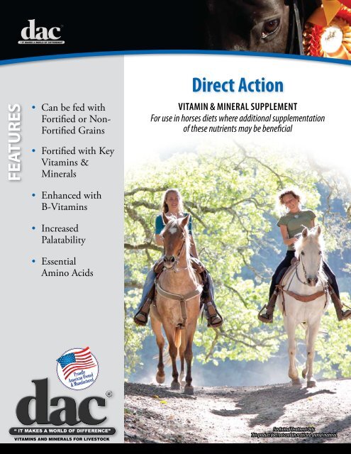 Direct Action Company