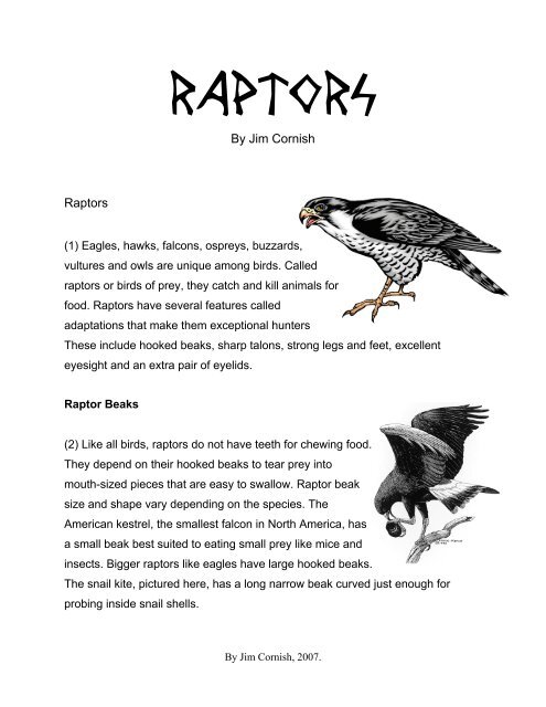 By Jim Cornish Raptors