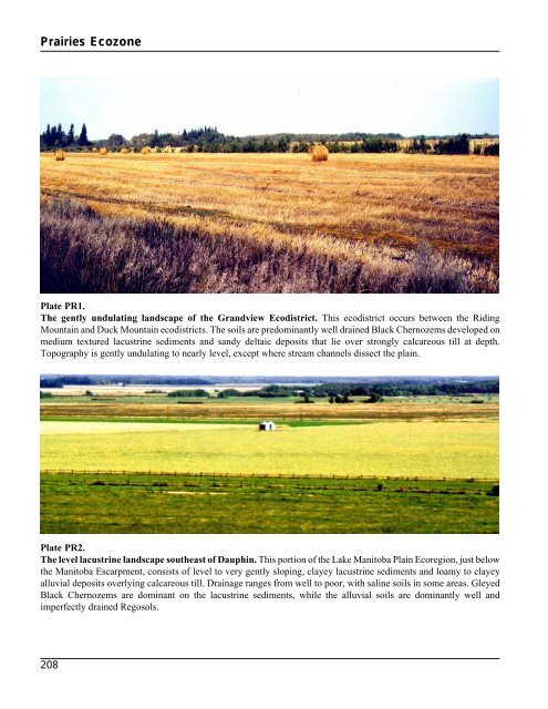 Prairies Ecozone Aspen Pa