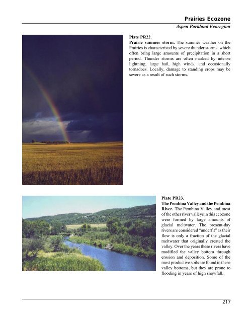 Prairies Ecozone Aspen Pa