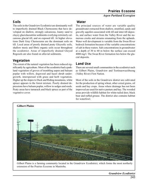 Prairies Ecozone Aspen Pa