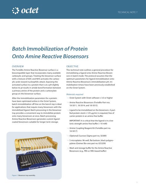 Batch Immobilization of Protein Onto Amine Reactive ... - ForteBio