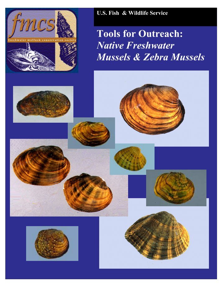 Mollusks Magazines