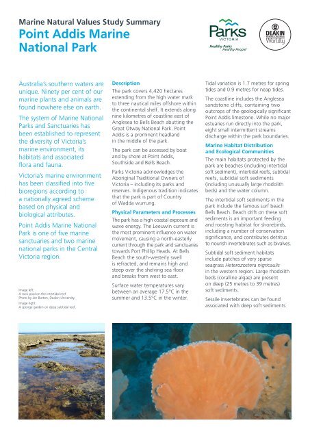 Point Addis Marine National Park - Parks Victoria