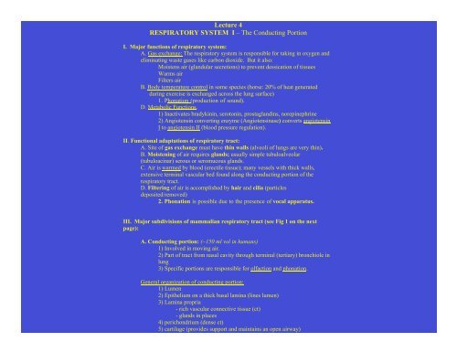 Lecture 4 RESPIRATORY SYSTEM I â The Conducting Portion
