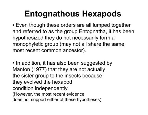 Entognathous Hexapods