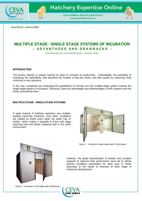 multiple stage / single stage systems of incubation - The Poultry Site