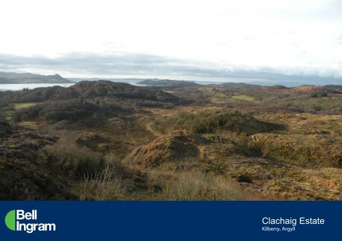 Clachaig Estate - Scottish Woodlands