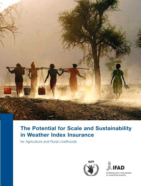 The Potential for Scale and Sustainability in Weather Index Insurance
