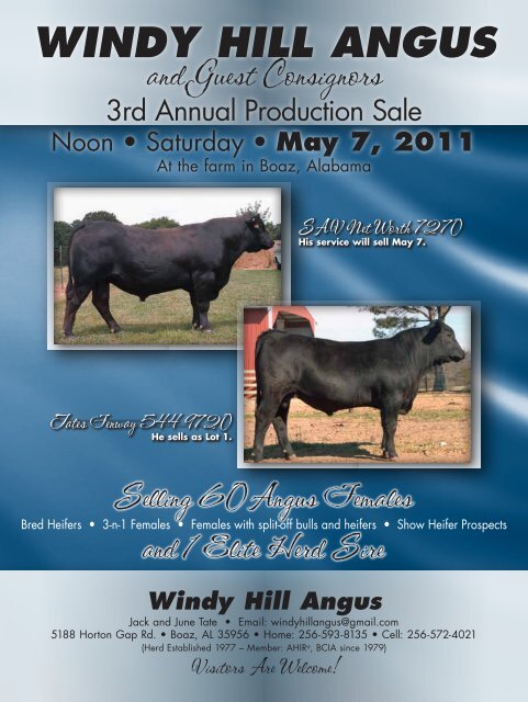 WINDY HILL ANGUS - Angus Journal