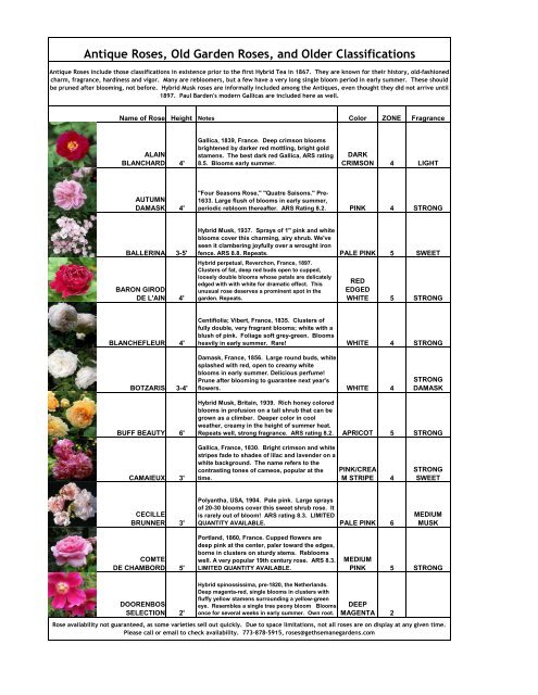 Antique Roses, Old Garden Roses, and Older Classifications