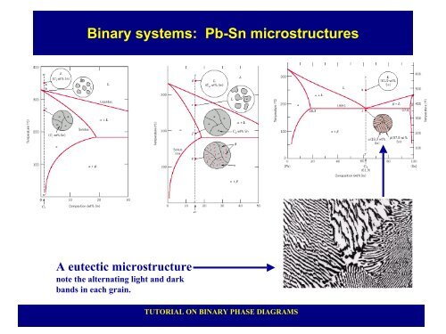 Binary s