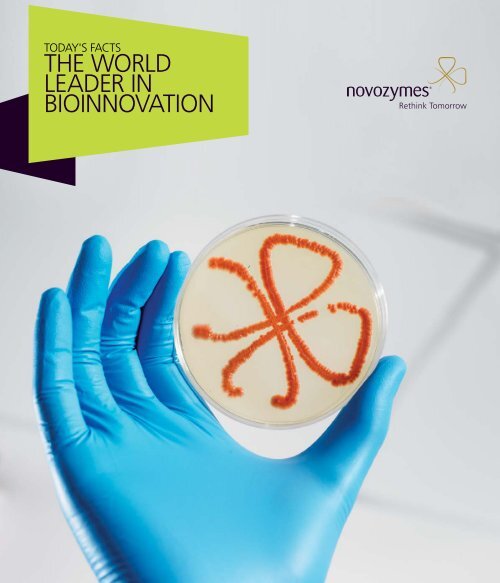Facts about Novozymes